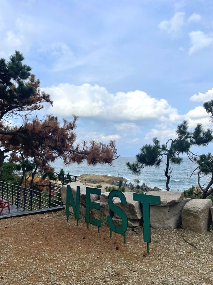 포항 구룡포 호미곶 오션뷰 연중 무휴 카페 추천 네스트 코퍼레이션 Nest 네이버 블로그