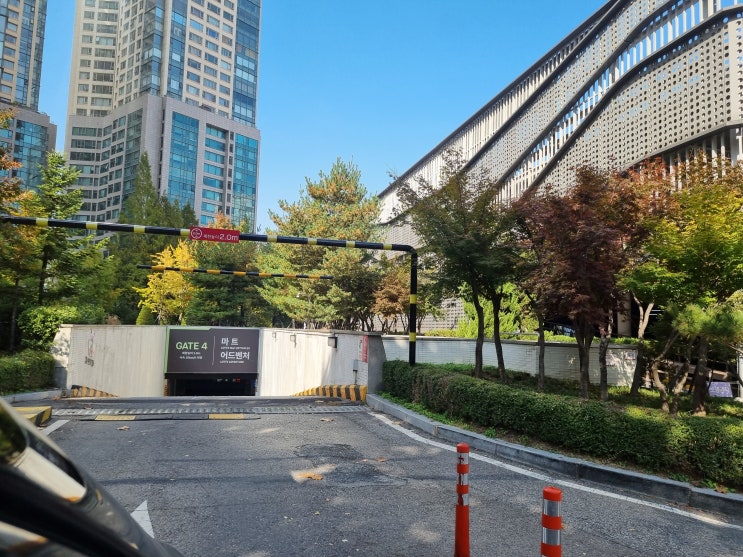 롯데월드 매직패스 예약 키오스크 할인 대기시간 종일권 네이버 블로그
