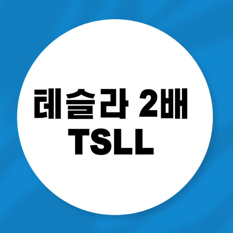 테슬라 2배 레버리지 TSLL ETF 주가 전망 : 네이버 블로그