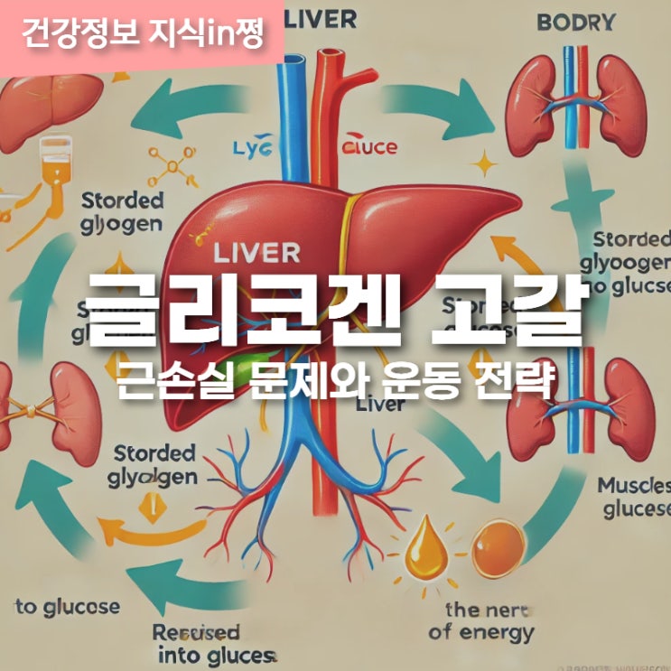 글리코겐 고갈되는 시간과 근손실 최소화하는 운동 전략 : 네이버 블로그