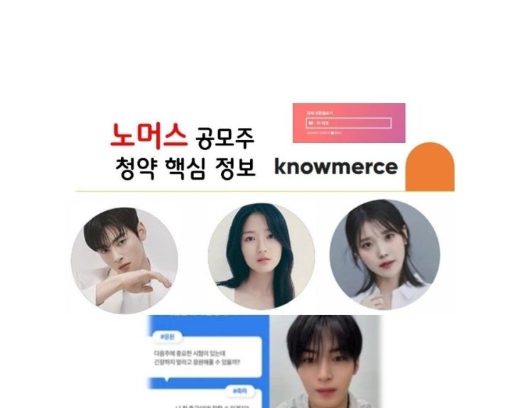 11월 공모주 노머스 수요예측 결과 핵심 정리 Feat 상장일 주가 공모가 주관사 장외가 엔터 관련주 환매청구권