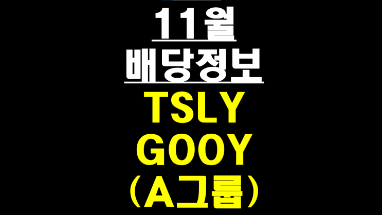 TSLY 11월 배당금 반토막?(배당락일, 배당지급일) : 네이버 블로그