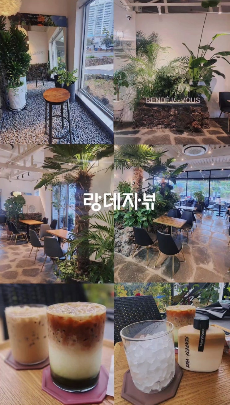 랑데자뷰 인천부평점 맛있는 디저트와 커피 예쁜 돌담정원과 포토존이 있는 제주감성카페 내돈내산 네이버 블로그