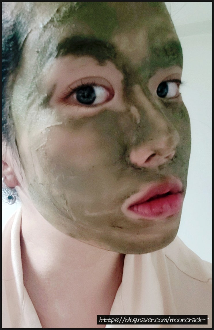 성분에디터 약초샷 포어 리모델링 마스크 사용후기 허브샷 마스크팩 홍현희 모공팩 네이버 블로그
