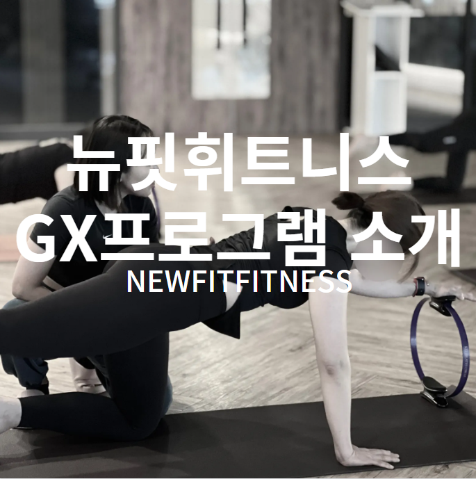 울산 헬스장 뉴핏휘트니스 Gx프로그램 소개 네이버 블로그