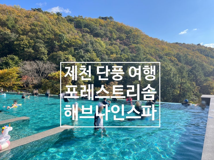 포레스트리솜 해브나인스파 수영장 할인 스톤스파 후기 네이버 블로그