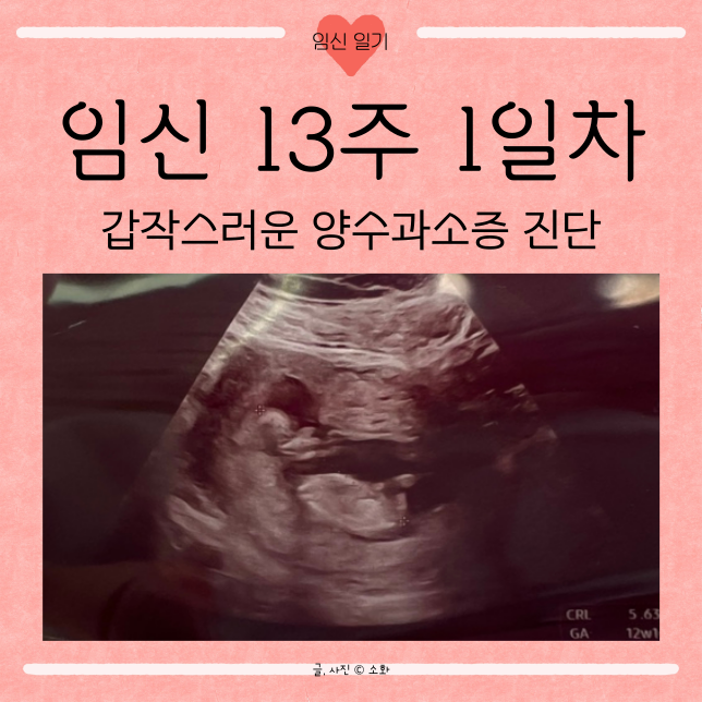 [24.06.25.] 임신일기 (32) :: 13w1d│입덧의 끝이 보인다│산후조리원 예약│갑작스러운 양수과소증 진단 : 네이버 블로그