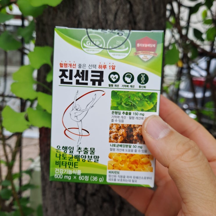 기억력 개선 영양제 뇌건강 위한 추천 진센큐 네이버 블로그