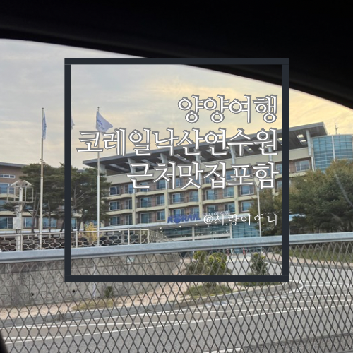 코레일 낙산연수원 디럭스 오션뷰 이용 후기 및 주변 추천 식당 맛집 네이버 블로그