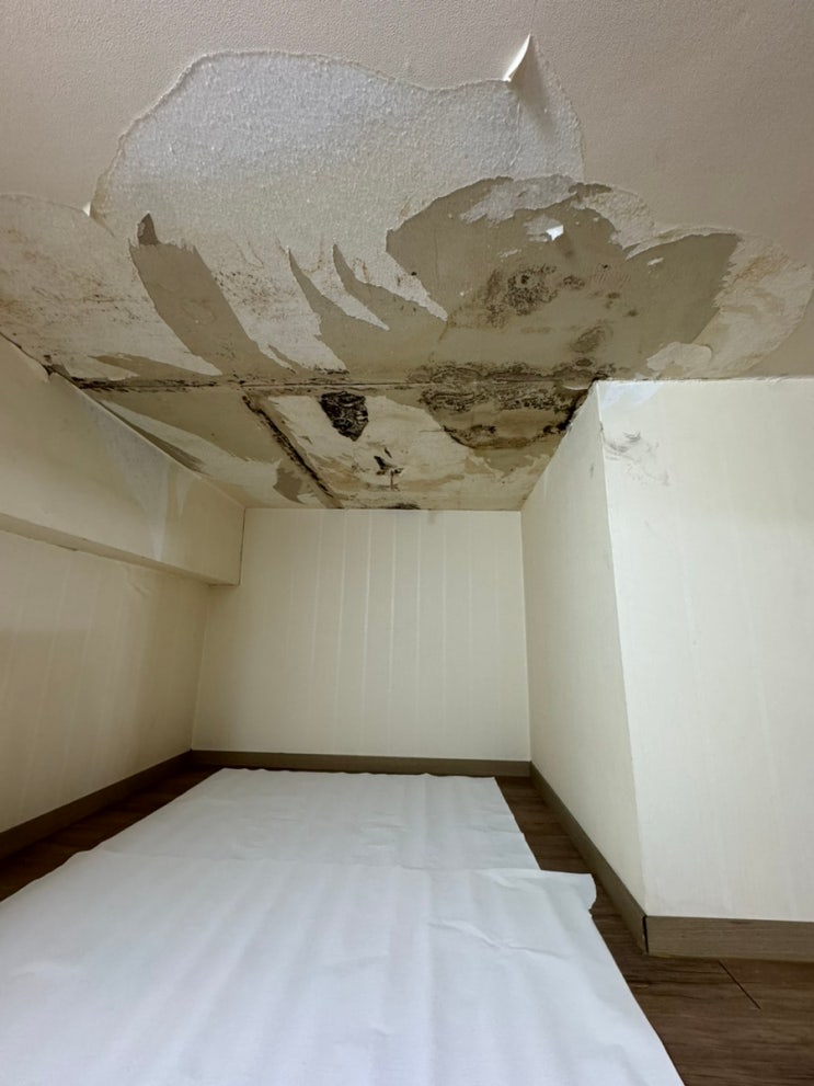 수원 인계동 복층 오피스텔 누수도배 데코타일 꼼꼼하게 작업 : 네이버 블로그