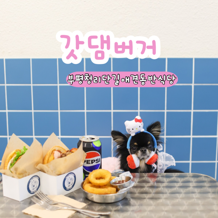청리단길갓댐버거 애견동반 수제버거 맛집 갓댐버거 네이버 블로그