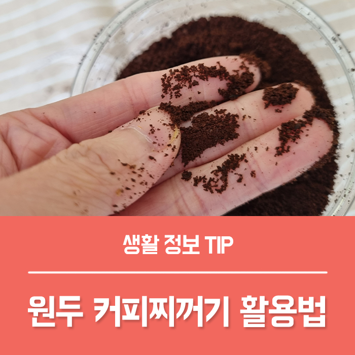 원두 커피찌꺼기 활용법 Top4 화분 커피가루 방향제 만들기 총정리 네이버 블로그