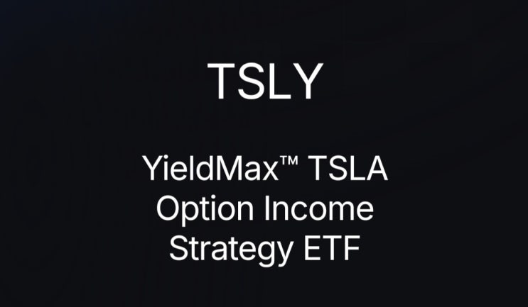 일드맥스 TSLY etf 11월 배당금 지급일 배당락일 : 네이버 블로그
