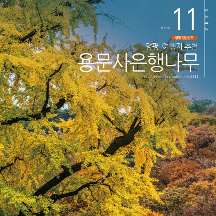 양평 여행 드라이브 코스 양평 단풍 볼거리 용문산 용문사 은행나무 네이버 블로그