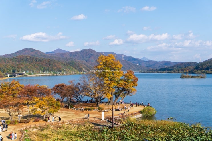 11월 가을 두물머리 물의정원 서울 근교 경기도 남양주 양평 드라이브 코스 추천 단풍 코스모스 실시간 현황 네이버 블로그