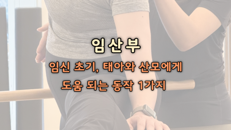 원주 무실동 필라테스 임신 초기 태아와 산모에게 도움 되는 동작 네이버 블로그