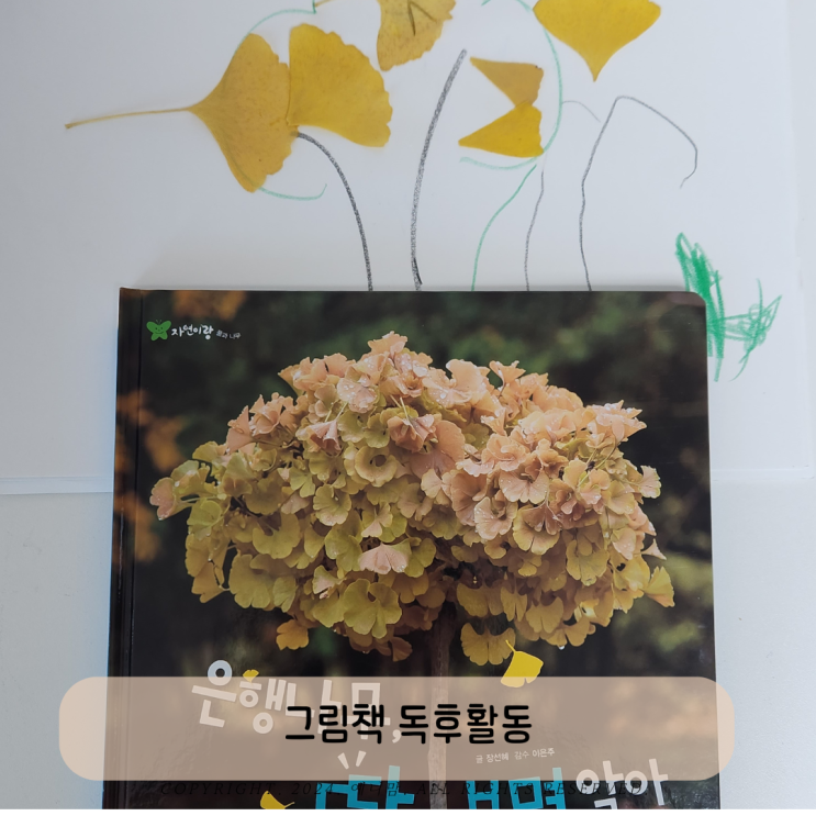 그림책 독후활동 유아 자연관찰 아람북스 우리 자연이랑 후기 네이버 블로그