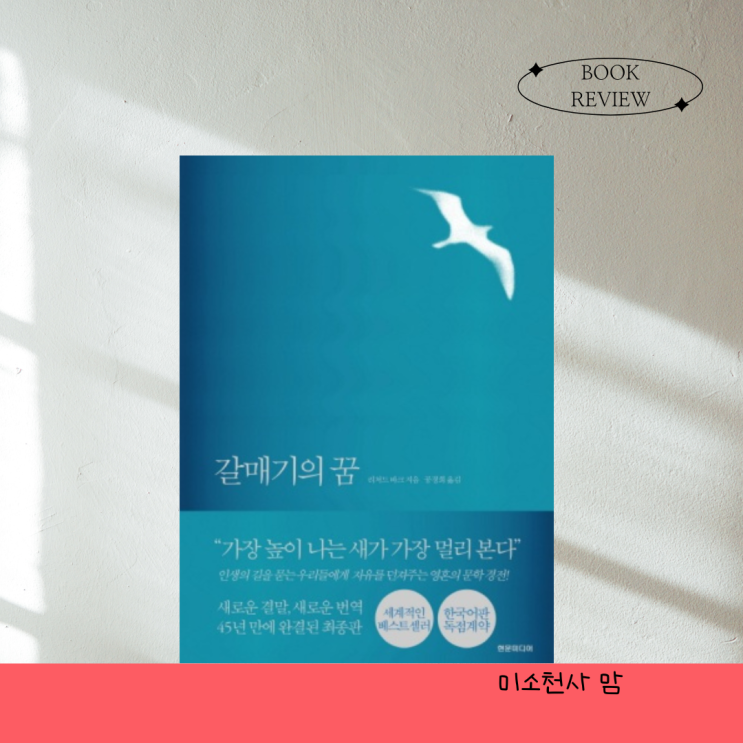 베스트셀러 갈매기의 꿈 줄거리 리처드 바크 청소년 소설 네이버 블로그