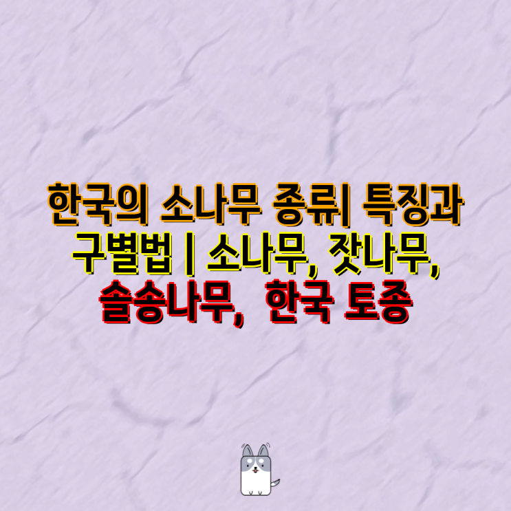 한국의 소나무 종류 특징과 구별법 소나무 잣나무 솔송나무 한국 토종 네이버 블로그
