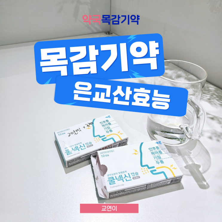 금은화 은교산효능 담은 환절기 감기 목구멍통증 약국 목감기약 쿨넥신 효능 효과 가격 네이버 블로그