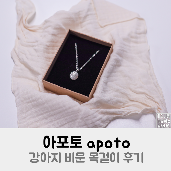 아포토 apoto 강아지 비문 목걸이 후기 : 네이버 블로그
