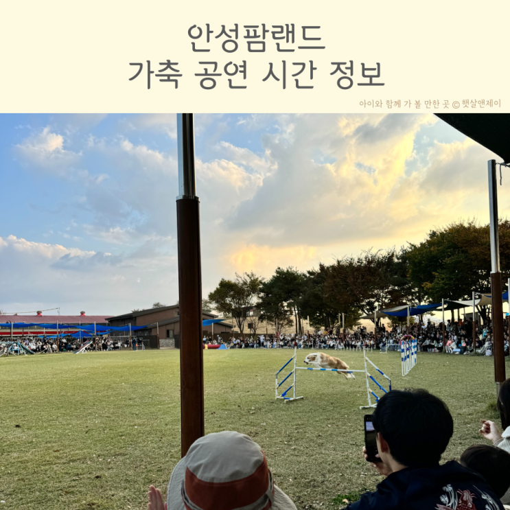 안성팜랜드 공연 시간 정보 다양한 가축들 : 네이버 블로그