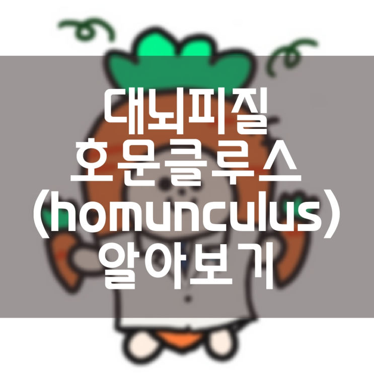 [재활의학과] 대뇌피질 호문클루스(Homunculus) 알아보기 : 네이버 블로그