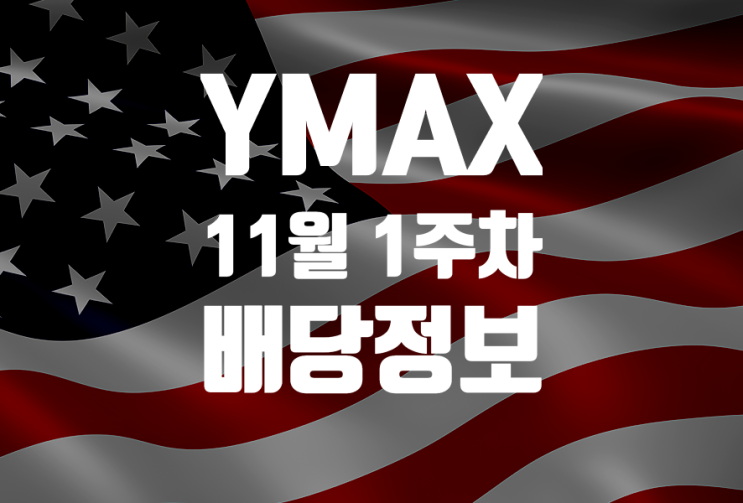 YMAX ETF, 매주 배당금이 쏟아진다?! 주간 배당으로 고수익 노리기! 2024년 11월 1주차 배당정보 : 네이버 블로그