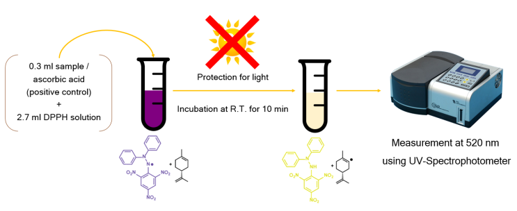 [항산화 실험] DPPH assay : 네이버 블로그