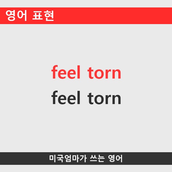 영어표현_feel torn : 네이버 블로그