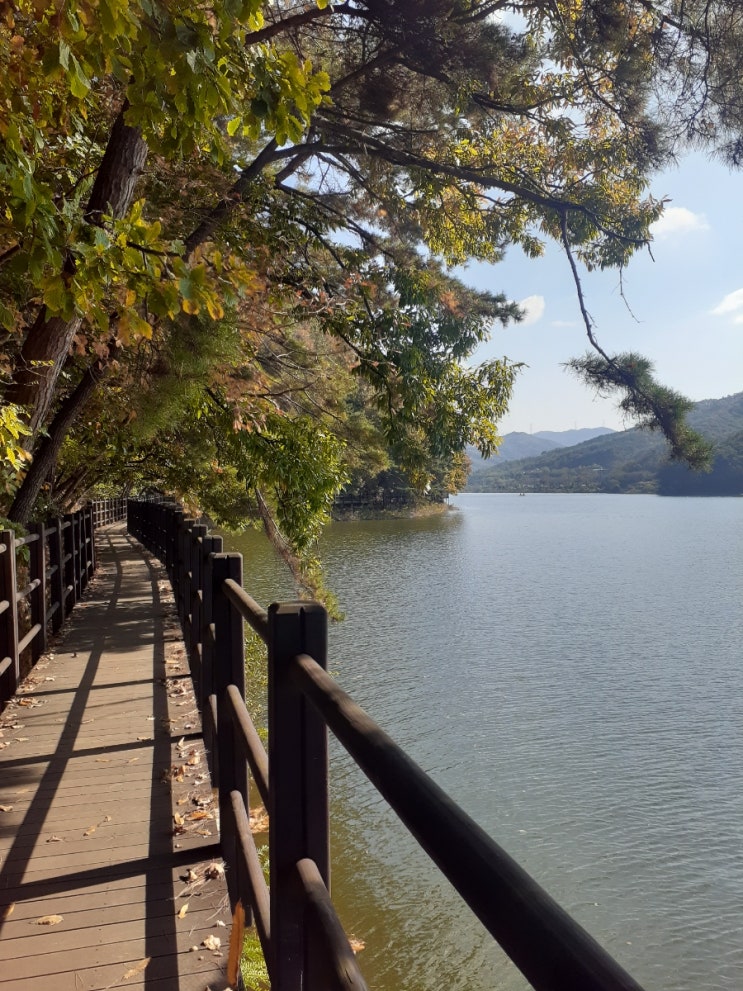 경기도 안성 금광호수 박두진 문학길 하늘전망대 : 네이버 블로그