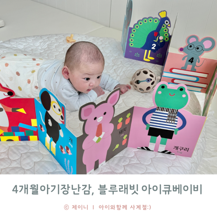 4개월아기 장난감 추천 블루래빗 터미타임 유아완구 아이큐베이비 네이버 블로그