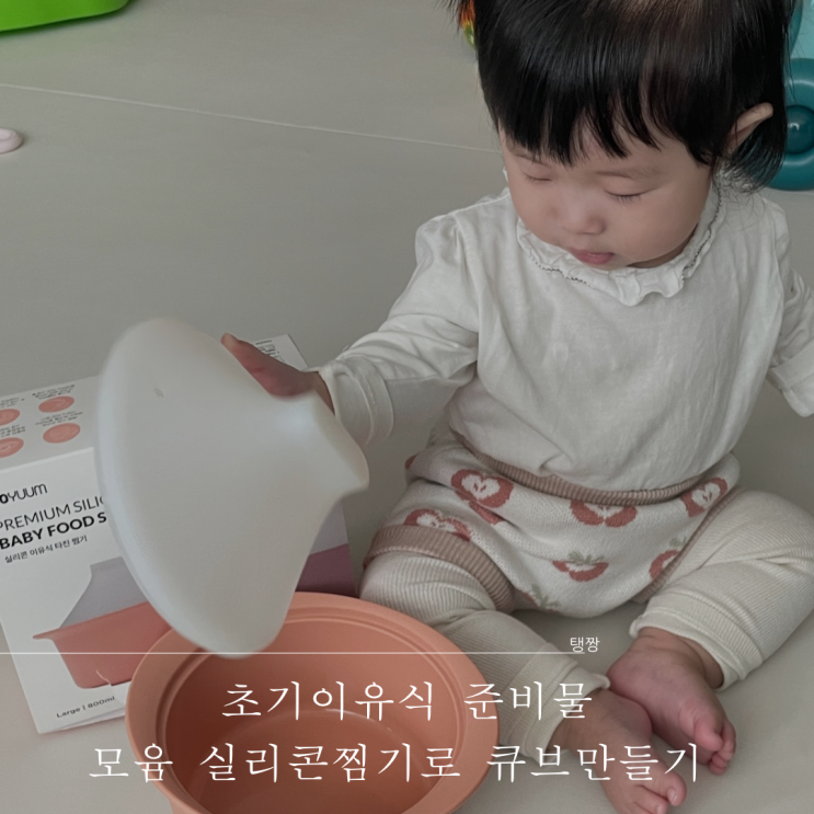 초기이유식 준비물 모윰 실리콘찜기로 큐브만들기 네이버 블로그