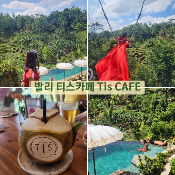 발리 우붓 뜨갈랄랑 카페 논뷰 수영장 발리스윙 메뉴 후기, 티스카페 Tis CAFE : 네이버 블로그