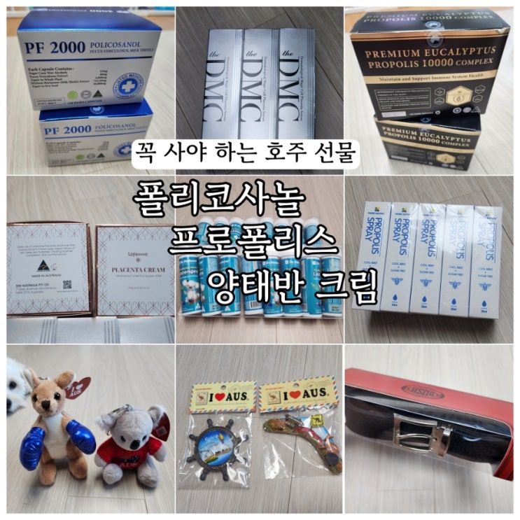 호주여행 기념품 선물 구입 후기 시드니 시내 면세점 폴리코사놀 양태반크림 등 네이버 블로그