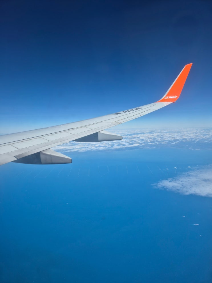 EP1. 우당탕탕 홍콩 여행 준비 후기 (2박 3일 항공권, 여권, 숙소, 티켓) : 네이버 블로그