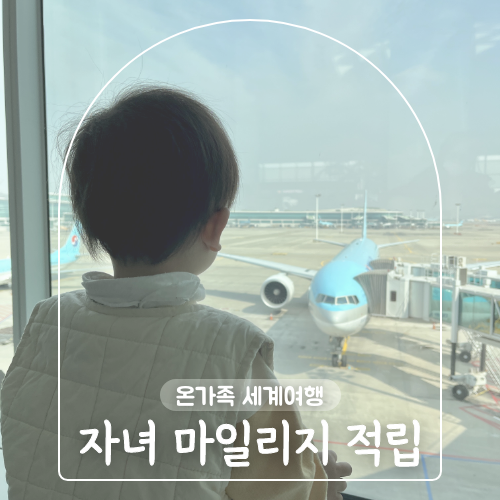 대한항공 14세 미만 자녀 마일리지 적립 방법 스카이패스 추후 적립 가족 합산 네이버 블로그