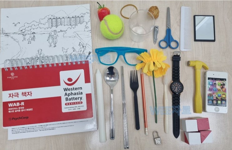 파라다이스 한국판 웨스턴 실어증 검사[개정판] (K-WAB-R) : 네이버 블로그