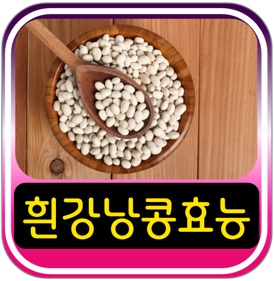 흰 강낭콩 효능 영양성분 하루 섭취량 부작용 칼로리 핵심정리 네이버 블로그