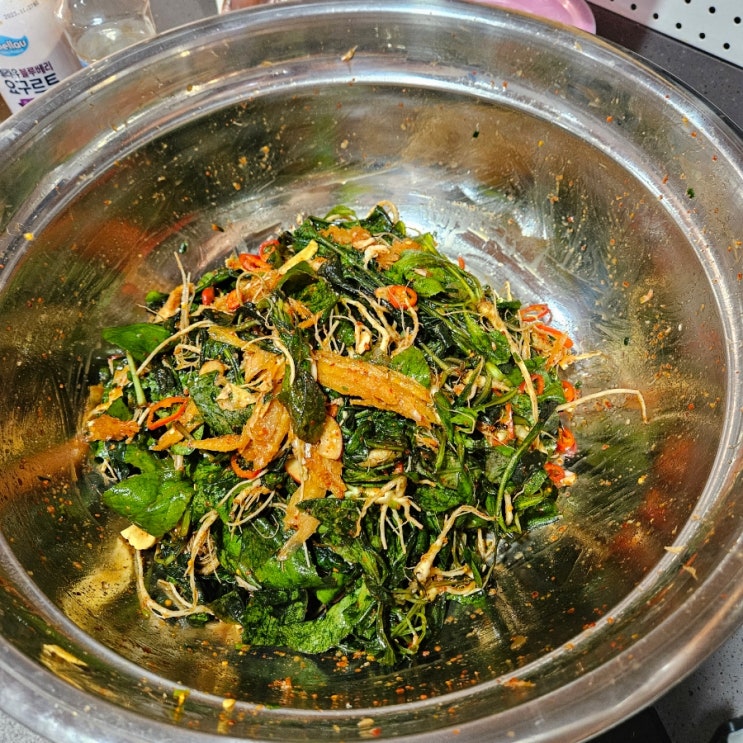 고들빼기 김치 담그기 노지고들빼기 수확 고들빼기 김치 만드는 방법 고들빼기김치 익히는방법 : 네이버 블로그