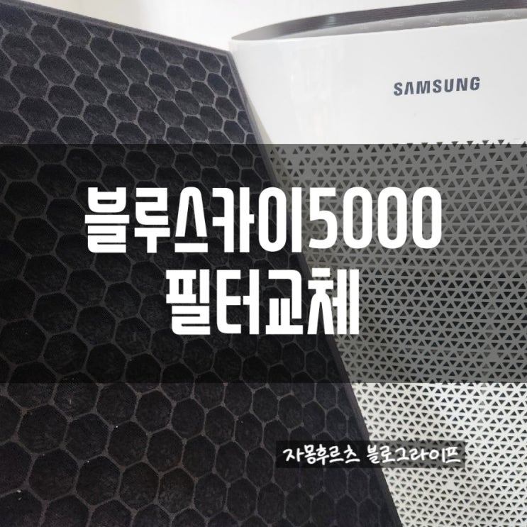 블루스카이5000 필터교체 ; 삼성공기청정기필터 CFX-D100D : 네이버 블로그