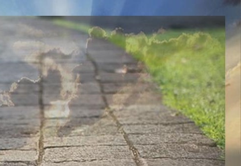 LDL 콜레스테롤 190 수치 관리 방법 알아보기 : 네이버 블로그