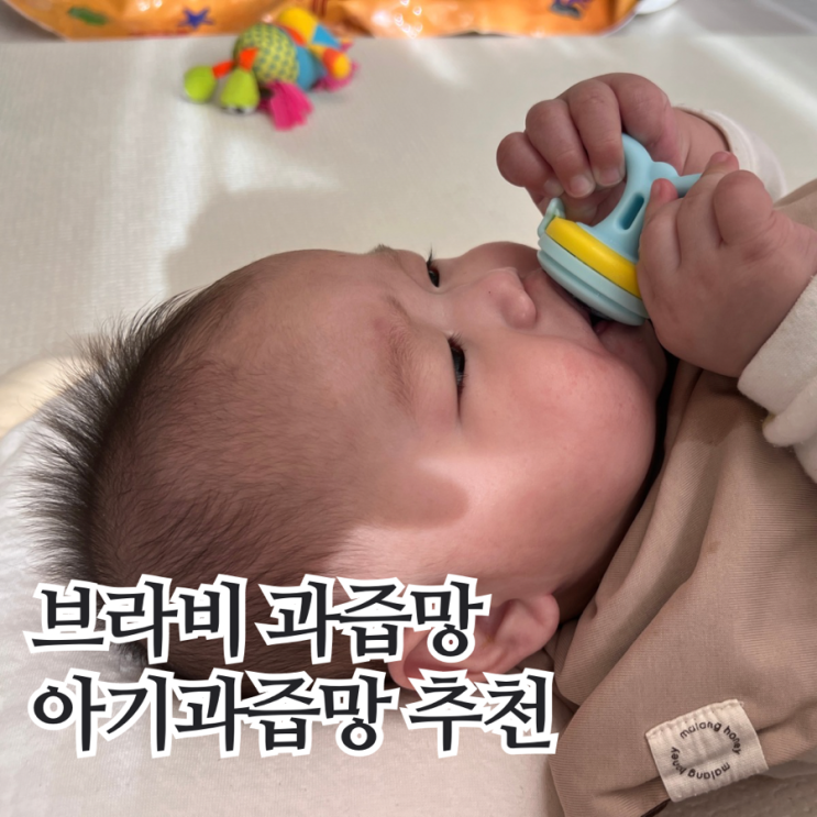 구강기 아기 과즙망 추천 브라비 사용 후기 네이버 블로그