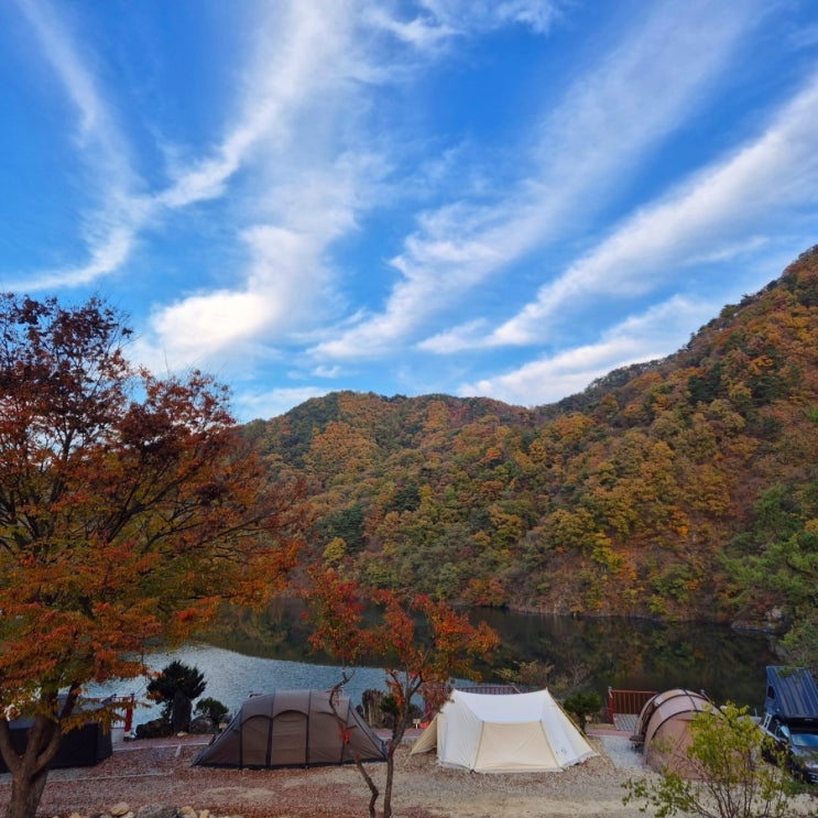 20241109 충북 제천 캠프BP113 충주호 뷰가 아름다운 캠핑장 B11 사이트 : 네이버 블로그