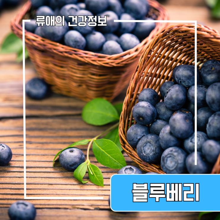 블루베리효능 부작용 냉동블루베리 블루베리의효능 정리 네이버 블로그