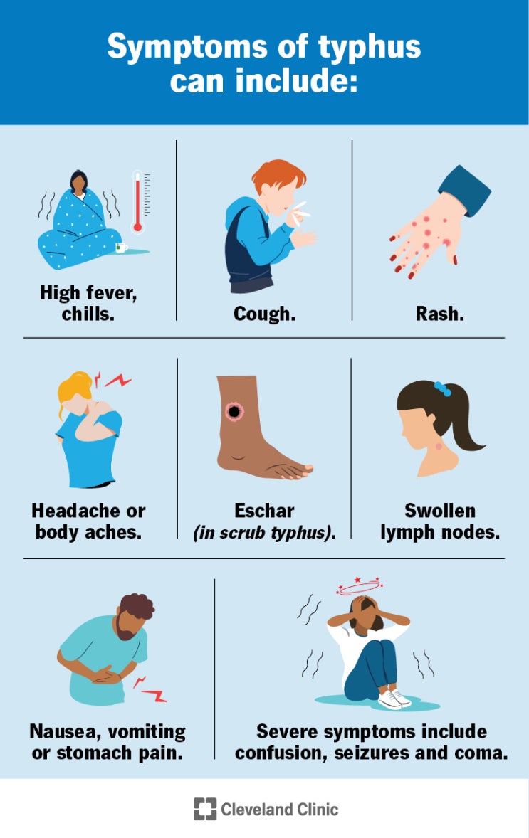 쯔쯔가무시(tsutsugamushi, scrub typhus) / korean virus : 네이버 블로그