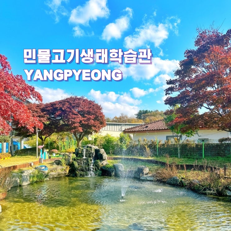 경기도 양평 아이와 가볼만한곳 민물고기 생태학습관 서울 근교 나들이 주말 당일치기 네이버 블로그