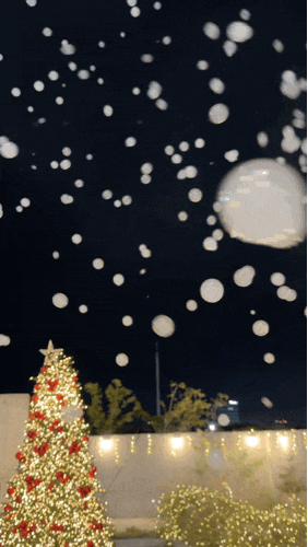 (내돈내산) 부산 사상 크리스마스 카페, 오르디 ORRD : 네이버 블로그