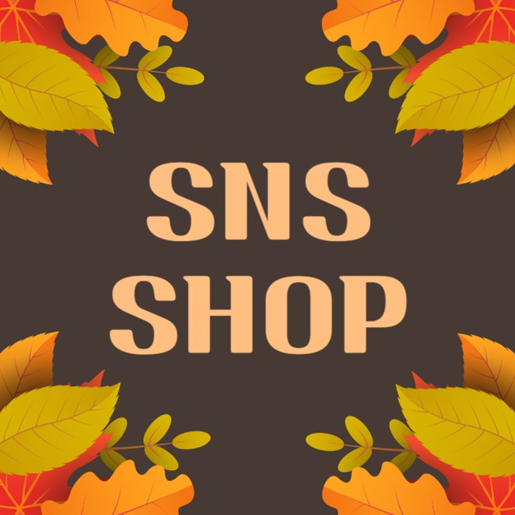 인스타 팔로워 늘리기 SNS SHOP 팔로우 늘린 성공 팁! : 네이버 블로그