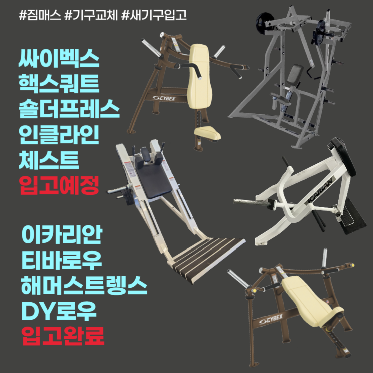 반야월 헬스장 짐매스 뉴머신 입고소식 해머스트렝스 Dy로우 이카리안 티바로우 네이버 블로그